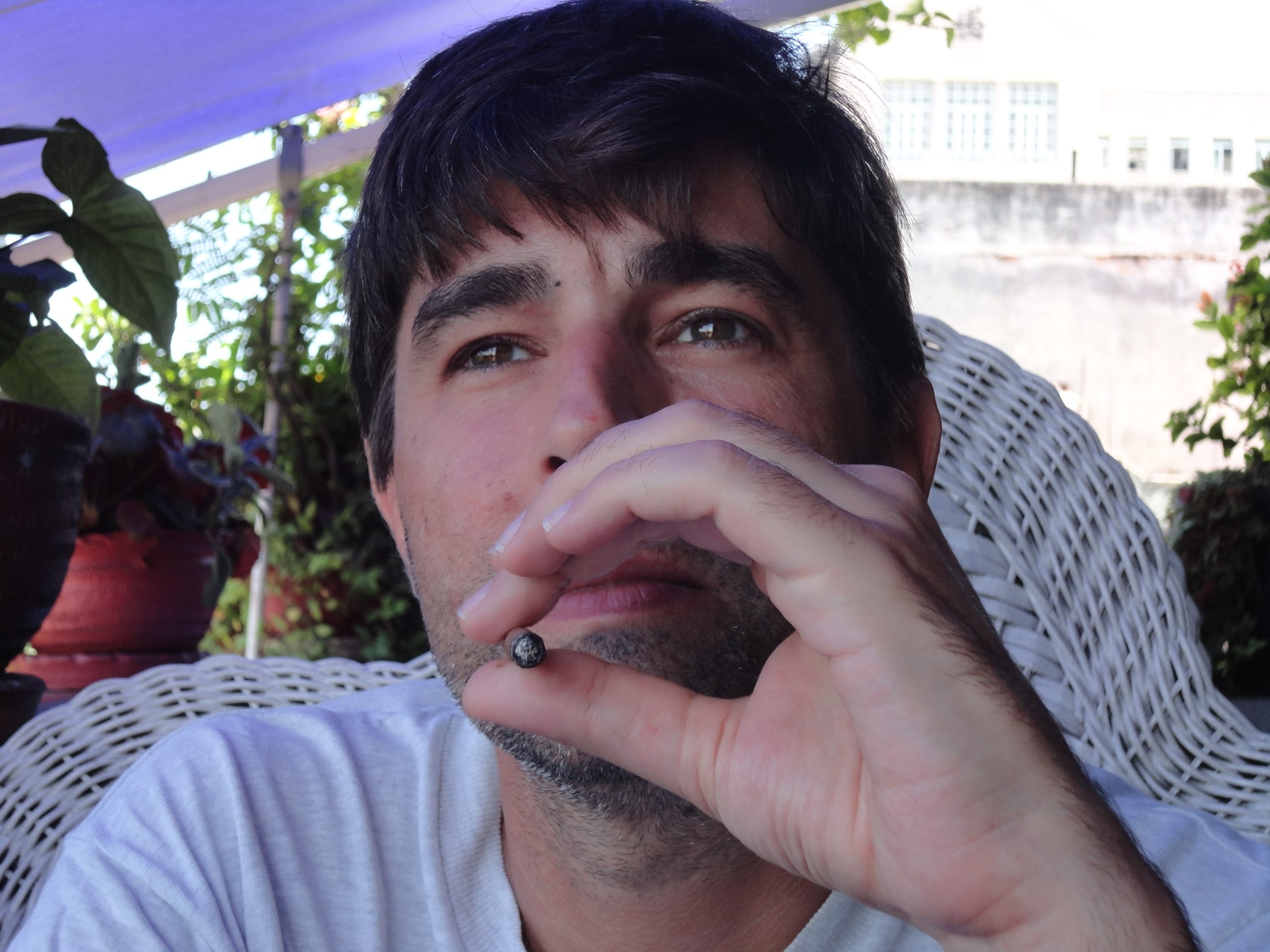 David Conte - Círculo de Bellas Artes